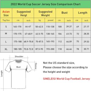 SINLEISI Argentina 2022 World Cup Fan Soccer Jersey (Argentina, Medium)