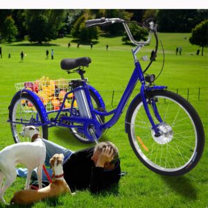 XIMFR 3 Wheel Electric Bicycle 24 Inches Tricycle Bikes Trikes for Adults with Fixed Basket to Use for Shopping Trips（Motor:350W Removable Lithium Battery:48V 13Ah）