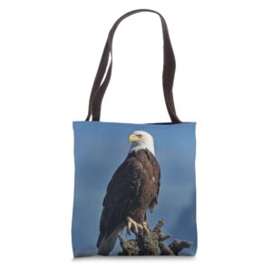 bald eagle haliaeetus leucocephalus tote bag