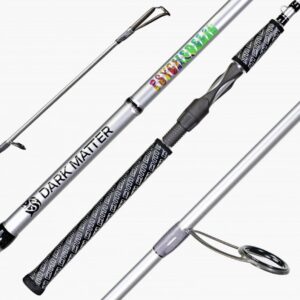 dark matter psychedelic inshore spinning rods, silver