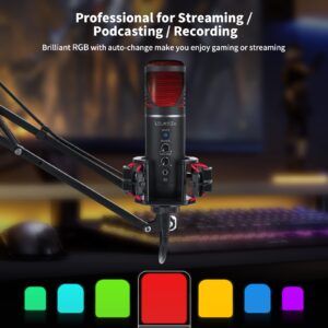 Gaming USB Microphone for PC, Noise Cancellation Condenser Mic with Boom Arm, Mute, Gain, Echo, Monitoring, Sound Optimization, Podcast Mic for Streaming, PS4/5, Twitch, YouTube, TikTOK (Black)