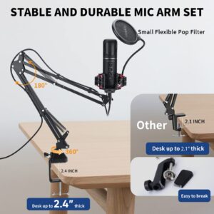 Gaming USB Microphone for PC, Noise Cancellation Condenser Mic with Boom Arm, Mute, Gain, Echo, Monitoring, Sound Optimization, Podcast Mic for Streaming, PS4/5, Twitch, YouTube, TikTOK (Black)