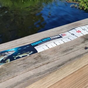 Salty Bones 36" Fishing Ruler Sticker - Walleye Edition - Made in The USA