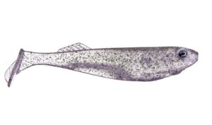 prodigy swimbait purple reign 4.1"