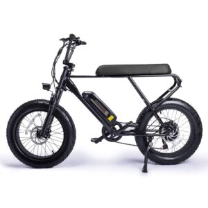 Fat Tire Electric Bike, 500W Brushless Motor, 48V/13Ah Removable Lithium-Ion Battery, Shimano 6-Speed E-Bike, 40 Miles Range, 4'' Wide Tires, Mini Swell Electric Bike for Adults (Black)