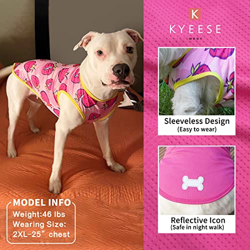 KYEESE 2 Pack Dog Shirt for Medium Dogs Breathable Lightweight Dog T-Shirts with Reflective Label Tank Top Great for Summer Sleeveless Vest Dog Apparel Strawberry Pattern, 2L, Strawberry+Rose