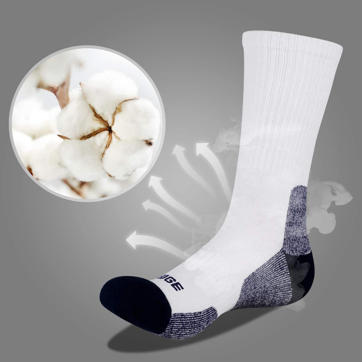 G-Six Global 2 Pairs Men's White Wicking Cushion Multi Performance Hiking Trekking Walking Socks Year Round (Large)