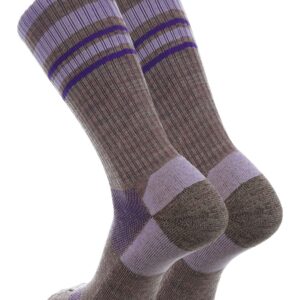 TCK Merino Wool Striped Crew Socks (Plum/Lavender, Large)