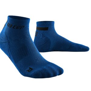 The Run Low Cut Socks 4.0, Blue, Men, IV