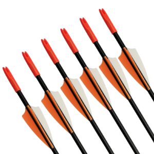 e5e10 31" Fiberglass Arrows Archery Training Practice Target Arrows with Durable Shaft Blunt Tip for Kids Youth or Beginners for Recurve Bow Long Bow (Orange and White)