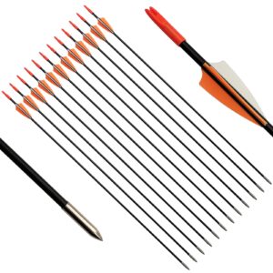 e5e10 31" fiberglass arrows archery training practice target arrows with durable shaft blunt tip for kids youth or beginners for recurve bow long bow (orange and white)