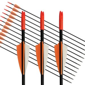 e5e10 31" Fiberglass Arrows Archery Training Practice Target Arrows with Durable Shaft Blunt Tip for Kids Youth or Beginners for Recurve Bow Long Bow (Orange and White)