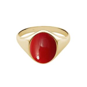 Red Coral/Moonga Gemstone Ring In Panchadhatu Birthstone Jewelry Ring For Men And Women BY JEWELLERYHUB (12.00 Carat)