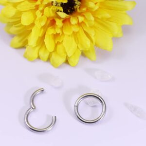 8G Earrings Hinged Segment Clicker PA Rings PA Rings Captive Bead Rings Septum Nose Rings Dangle Spring Action CBR Surgical Steel Monster Screwball Rings Body Piercing Rings for Women Men Silver