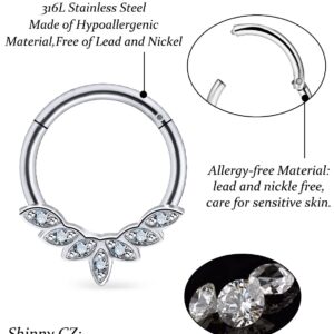 Vsnnsns 16G Septum Rings Piercing Jewelry Septum Jewelry CZ Clicker Ring Stainless Steel Septum Hinged Segment Nose Rings Hoop Piercing Jewelry for Men Women 10mm 4pcs Silver