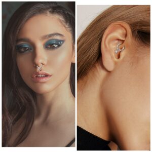 CASSIECA 16G Septum Rings Stainless Steel Dangle Septum Jewelry with Blue Plant Teardrop Clear CZ Butterfly Heart Moon Sun Daith Cartilage Helix Tragus Earrings Nose Rings Piercing Jewelry for Women