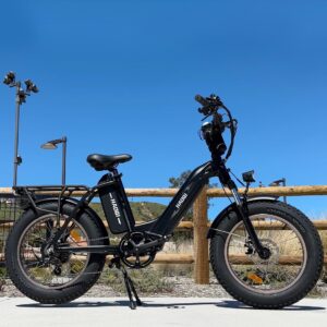 HAOQI Antelope Black Electric Bike for Adults 48V 25AH Removable Dual Lithium Battery, 750W Motor, 20" x 4.0 Fat Tire Step-Thru Ebike up to 28MPH, 7-Speed