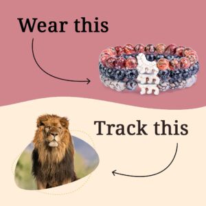 Fahlo Lion Tracking Bracelet, Elastic, supports EWASO Lions, one size fits most for Men and Women (Sky Stone)