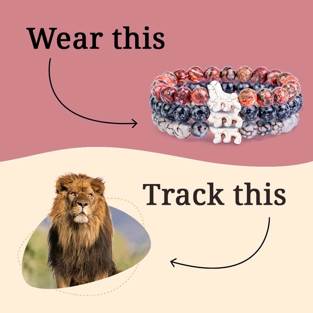 Fahlo Lion Tracking Bracelet, Elastic, supports EWASO Lions, one size fits most for Men and Women (Sky Stone)