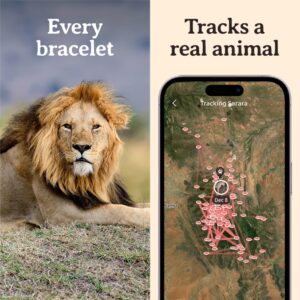 Fahlo Lion Tracking Bracelet, Elastic, supports EWASO Lions, one size fits most for Men and Women (Sky Stone)