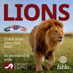 Fahlo Lion Tracking Bracelet, Elastic, supports EWASO Lions, one size fits most for Men and Women (Sky Stone)