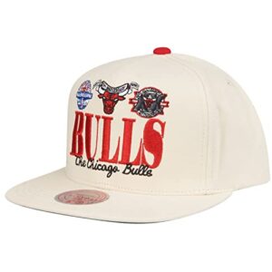 mitchell & ness chicago bulls reframe retro snapback adjustable cap