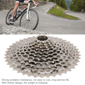 Dilwe Freewheel Cassette, Ultra Light 11 Speed Cassette Mountain Freewheel 9‑42T Compatible for SRAM XD