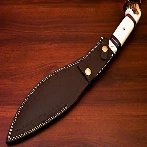 Custom FORGED DAMASCUS Steel Hunting Knife With Stag and Brass Guard Handle very beautiful knife best gift for Father day