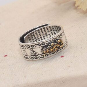 HETICA Feng Shui Pixiu Mantra Amulet Lucky Adjustable Ring Buddhist Good Luck Mantra Double Protection Wealth Love Health Ring Vintage Ring Jewelry Gift