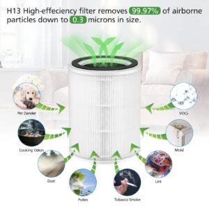 TPAP001 H13 True HEPA Air Filter, Only Compatible with TOPPIN TPAP001 Comfy Air C2 Air Purifier, H13 True HEPA Filter for TOPPIN TPAP001 Filter, TPFF001【Not Fit TPAP002 TPAP004 TPAP005 】