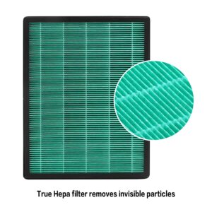 Replacement HEPA Filter Combined with Activated Carbon Compatible with Coway Airmega 400/400S Max 2, 2PCS