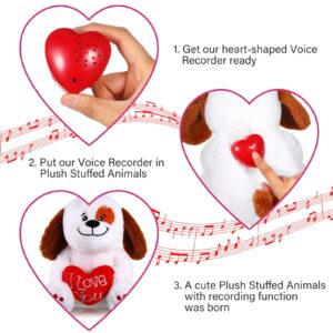 Civaner 4 Pack 60 Seconds Voice Recorder for Stuffed Animal Heart Red Push Button Heart Shaped Sound Recorder Recordable Device for Toy Plush Bear Doll Voice Message Recording