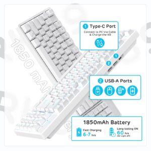 RK ROYAL KLUDGE RK89 85% Triple Mode BT5.0/2.4G/USB-C Hot Swappable Mechanical Keyboard, 89 Keys Compact Mechanical Keyboard with Detachable Frame & Software (Hot-Swappable Red Switch, White)