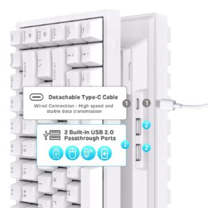 RK ROYAL KLUDGE RK84 Wireless Blue Backlit 75% Triple Mode BT5.0/2.4G/USB-C Hot Swappable Mechanical Keyboard, 84 Keys Tenkeyless Mechanical Keyboard w/Programmable Software, Blue Switch