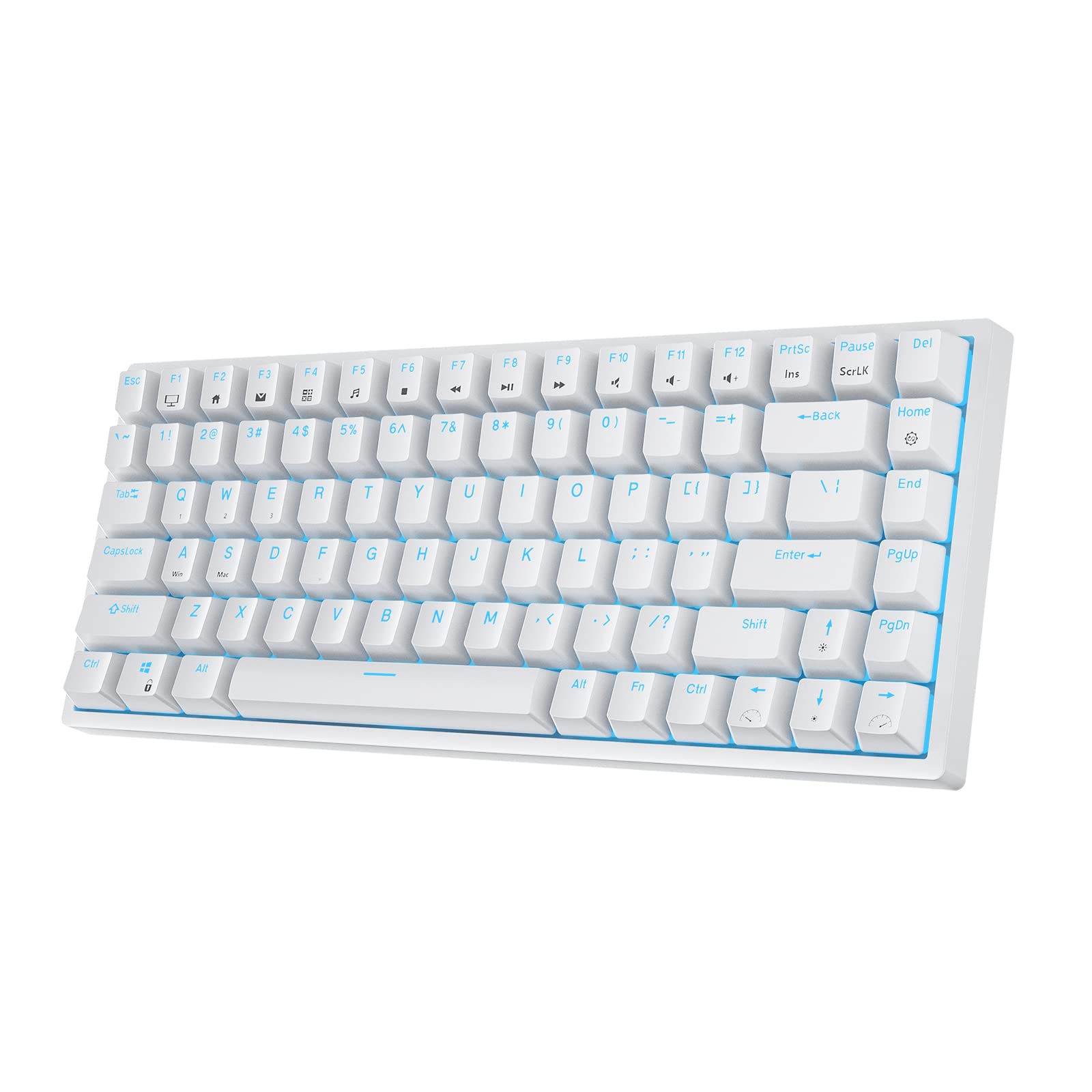 RK ROYAL KLUDGE RK84 Wireless Blue Backlit 75% Triple Mode BT5.0/2.4G/USB-C Hot Swappable Mechanical Keyboard, 84 Keys Tenkeyless Mechanical Keyboard w/Programmable Software, Blue Switch