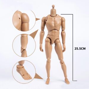 1/6 Scale Narrow Shoulder Male Body Doll Action Figure for TTM18 TTM19 Hot Toys & Human Body Sketch Model