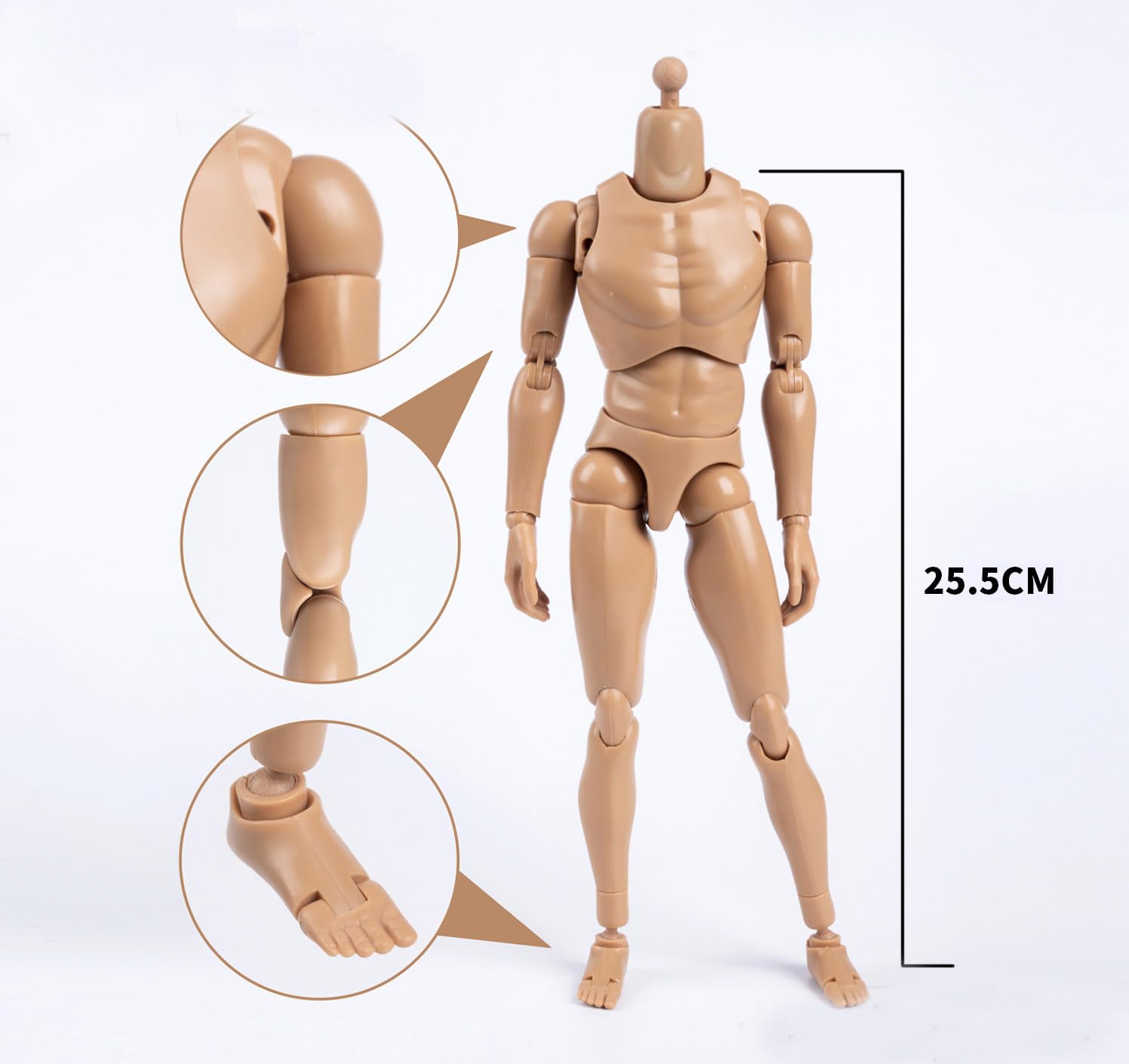 1/6 Scale Narrow Shoulder Male Body Doll Action Figure for TTM18 TTM19 Hot Toys & Human Body Sketch Model