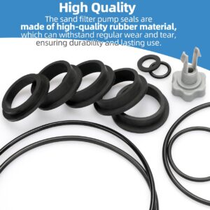 Dimakung Sand Filter Pump Seal Gasket Parts, Replacement Repair Set Compatible with Intex Sand Filter Pumps, Air Release Valve & O-Rings (Black)