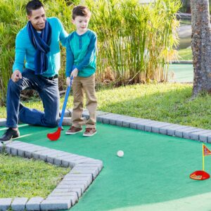 Golf Set with Practice Holes, Golf Sticks Balls Golf Ball Game Play Set Golf Set Outdoor Sports for Boys Girls, Plastic Golf Cubs