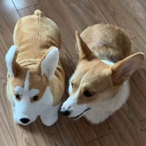 Corgi Dog 20 Inch Realistic Lifelike Louie Welsh Corgi Dog Plush Stuffed Animal Pet Dog Huggle Furry Corky