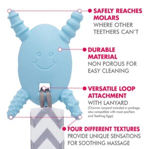 The Official Molar Magician Baby Teether - Freezable Molar Teething Toy for Your Baby and Toddler - Made in The USA by The Teething Egg