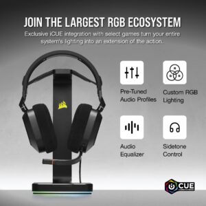 Corsair HS80 RGB USB Premium Gaming Headset with Dolby Audio 7.1 Surround Sound (Broadcast-Grade Omni-Directional Microphone, Memory Foam Earpads, High-Fidelity Sound, Durable Construction) Carbon