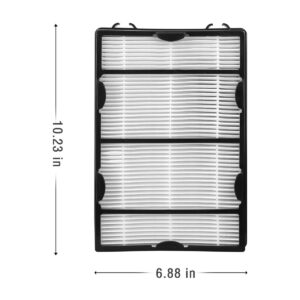 Homeland Goods HAPF600 HEPA Filter Replacement for Holmes Air Purifier, Replace HAPF600D, HAP615, HAP625, HAP650, HAPF600D-U3, HAP725, HAP750 Filter B 2 Pack