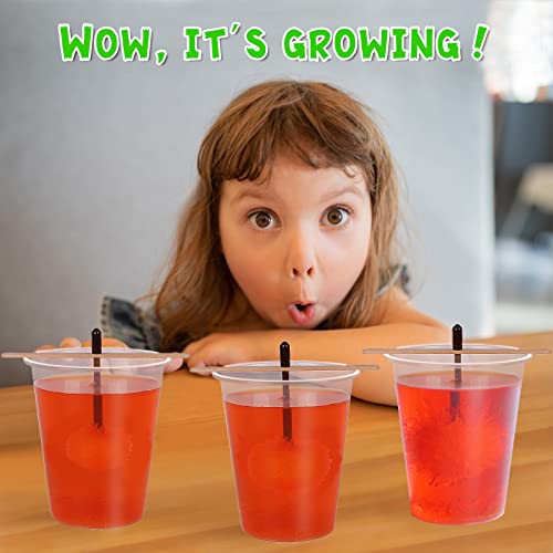 SOLMOD Crystal Growing Kit - Grow 5 Vibrant Crystals Fast (24 Hours), Easy DIY Science Kit and STEM Toys for Kids, A Great Educational Gift for Boys Girls Age 6+