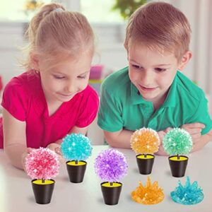 SOLMOD Crystal Growing Kit - Grow 5 Vibrant Crystals Fast (24 Hours), Easy DIY Science Kit and STEM Toys for Kids, A Great Educational Gift for Boys Girls Age 6+