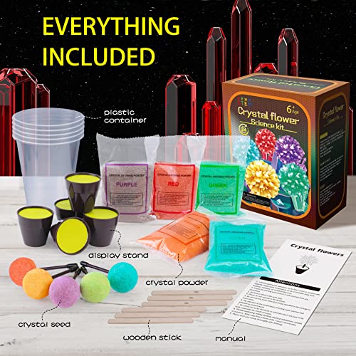 SOLMOD Crystal Growing Kit - Grow 5 Vibrant Crystals Fast (24 Hours), Easy DIY Science Kit and STEM Toys for Kids, A Great Educational Gift for Boys Girls Age 6+