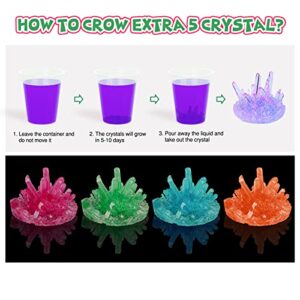 SOLMOD Crystal Growing Kit - Grow 5 Vibrant Crystals Fast (24 Hours), Easy DIY Science Kit and STEM Toys for Kids, A Great Educational Gift for Boys Girls Age 6+