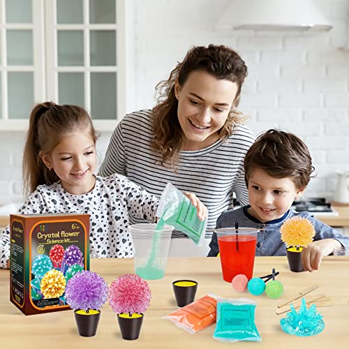 SOLMOD Crystal Growing Kit - Grow 5 Vibrant Crystals Fast (24 Hours), Easy DIY Science Kit and STEM Toys for Kids, A Great Educational Gift for Boys Girls Age 6+