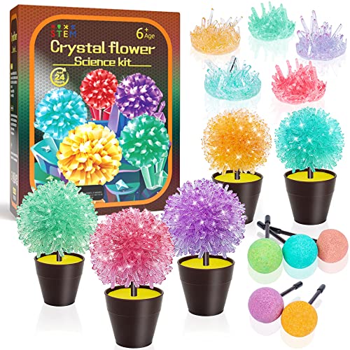 SOLMOD Crystal Growing Kit - Grow 5 Vibrant Crystals Fast (24 Hours), Easy DIY Science Kit and STEM Toys for Kids, A Great Educational Gift for Boys Girls Age 6+