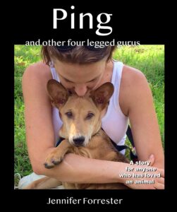 ping and other four-legged gurus